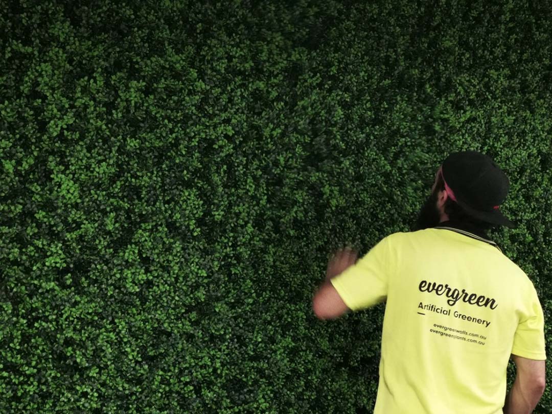 Install your Green Wall