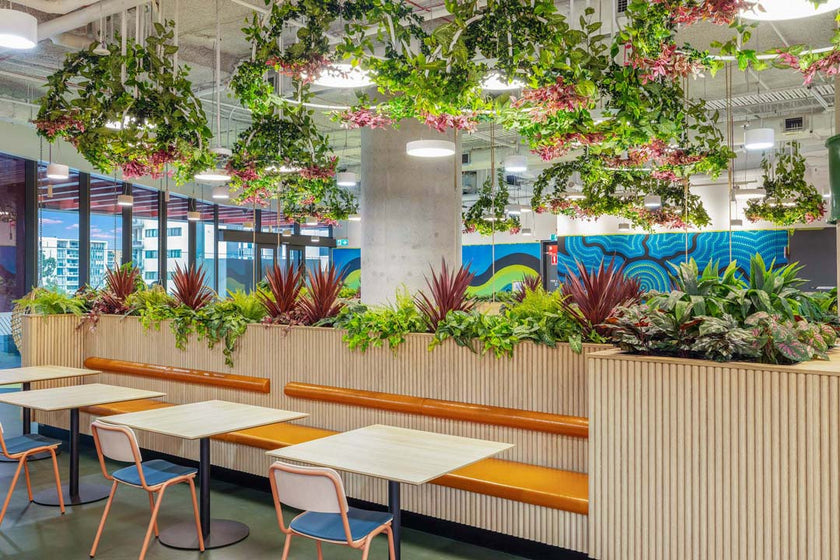 Commercial Greenery: Elevating Productivity and Well-being Through ...