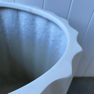 Home / Collections / Echidna Pot Bundle