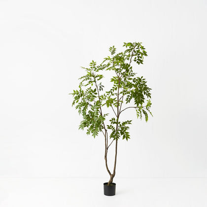 Variants 250cm - $590.00 210cm - $416.00