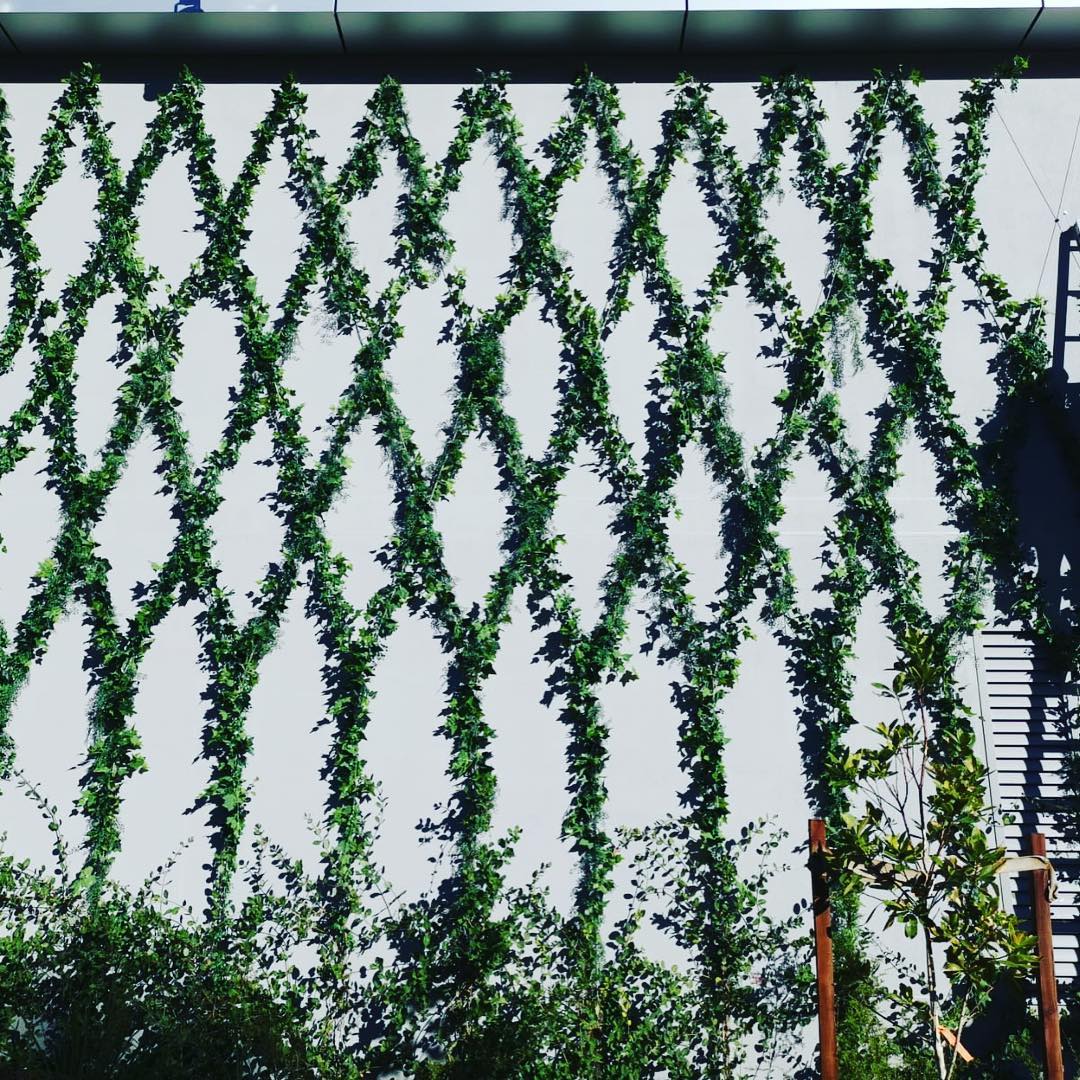 Tensioned Wire Trellis Kit Australia - Evergreen Walls