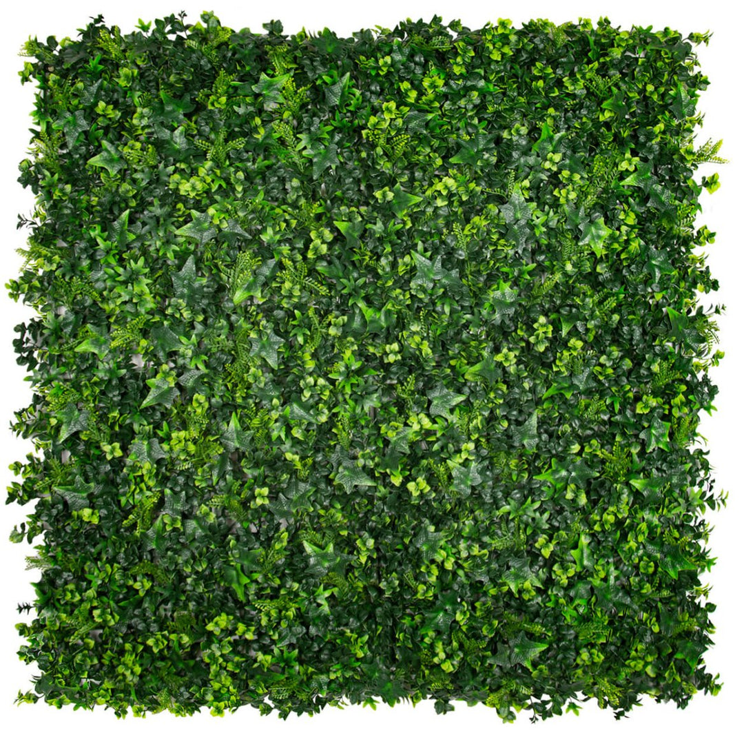 Home / Collections / Classic Ivy