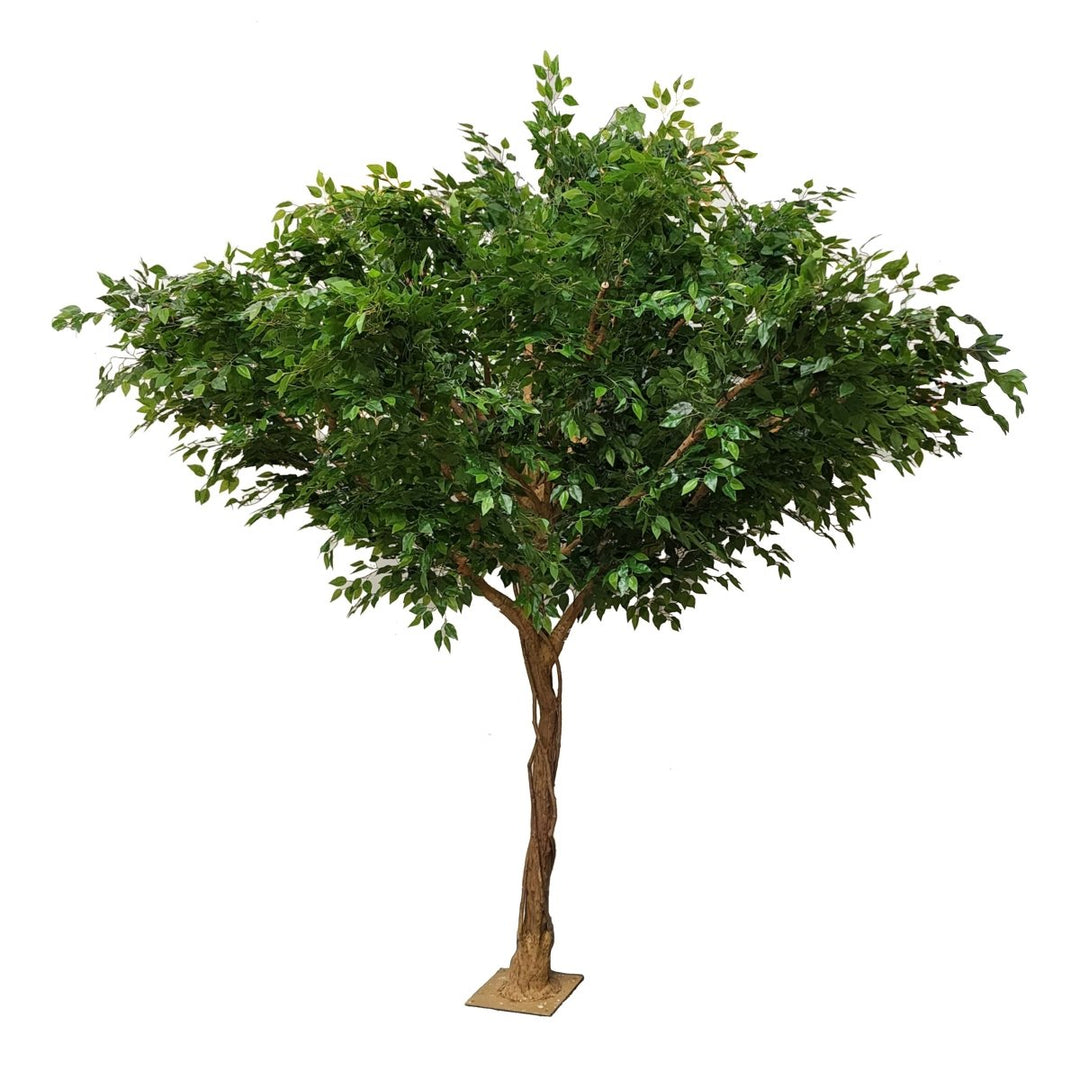 Home / Collections / Giant Ficus Exotica Tree 300cm